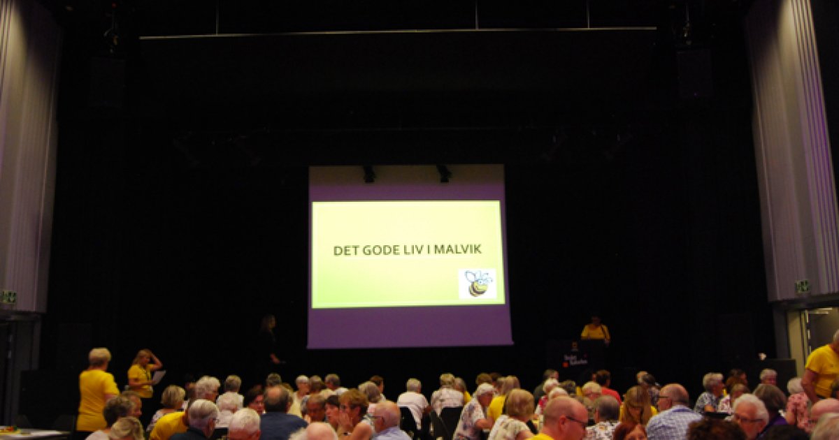 Folkemøte som innbyggerinvolvering - Aldersvennlig